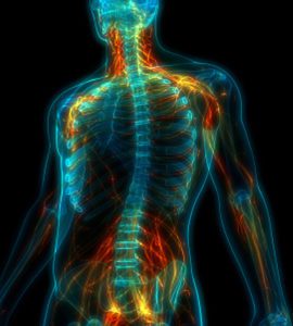 Conditions We Treat | www.orcjax.com